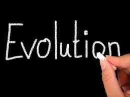 Macroevolution and Microevolution – Biblical Viewpoint